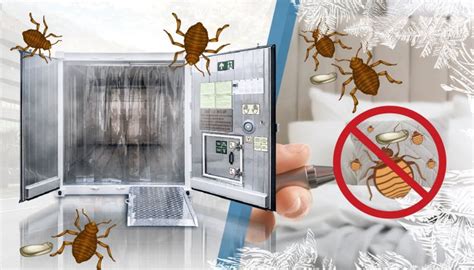 Titan Containers On Linkedin Exterminate Bed Bugs And Insect