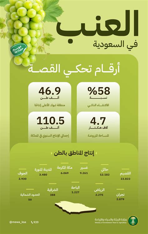 البيئة 1105 آلاف طن إنتاج المملكة من فاكهة العنب سنويًا وضوح الاخبارى