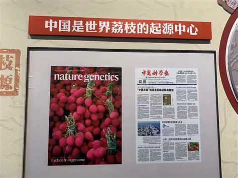 第七届中国荔枝龙眼产业大会在广东茂名召开—新闻—科学网