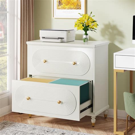 Tribesigns Modern File Cabinet 2 Drawer Home Office Filing Cabinet For
