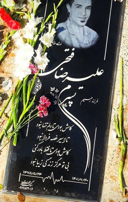 Alireza Fathi Ausiran