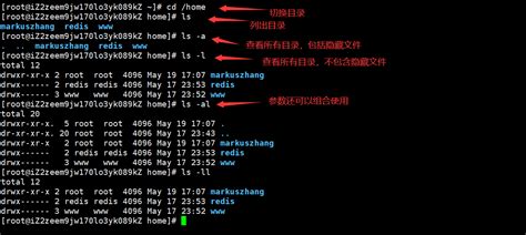 Linux Ls命令：查看目录下文件ls 展示m Csdn博客