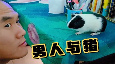 男人不喜欢荷兰猪 养的时间长了 也就慢慢喜欢了 YouTube