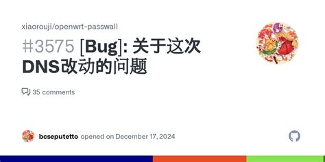 Bug 关于这次DNS改动的问题 Issue 3575 xiaorouji openwrt passwall GitHub
