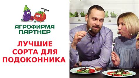 ЛУЧШИЕ СОРТА ДЛЯ ПОДОКОННИКА ОТ АГРОФИРМЫ ПАРТНЕР - YouTube