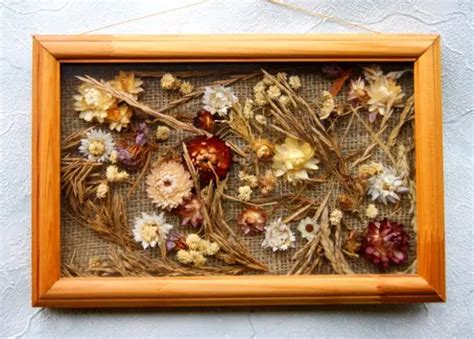 Цветы сухоцветы 20 самых красивых растений и идеи композиций Огород сад балкон