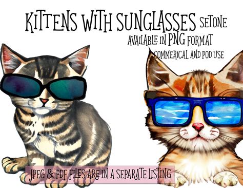 Watercolor Kittens In Sunglasses Png Images