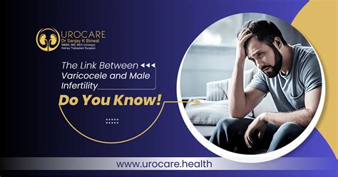 Unlocking Male Infertility Secrets The Varicocele Connection