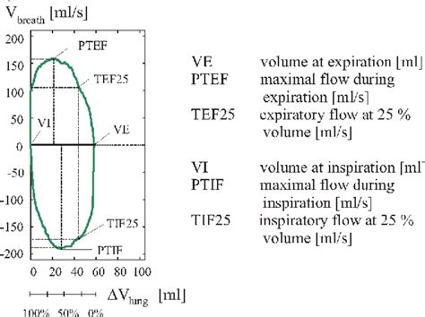Figure 2 From Analysis Of Tidal Breathing Flow Volume Loops For
