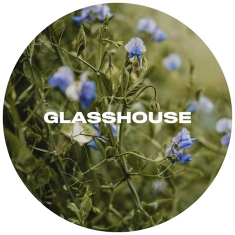 Iris Glasshouse Beer Co Untappd