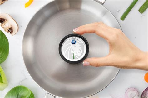 Termómetro De Cocina Smart Temp Royal Prestige® México
