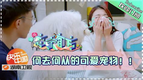 恋家有方20151221期 何去何从的可爱宠物 We Love Home It s Hard to Be Apart From You