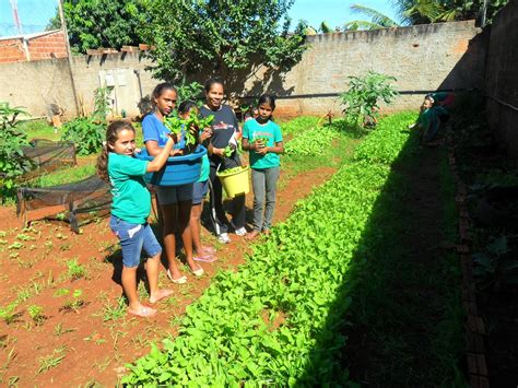 Escola Estadual Pedro Alberto Tayano Projeto Horta Escolar Semeando