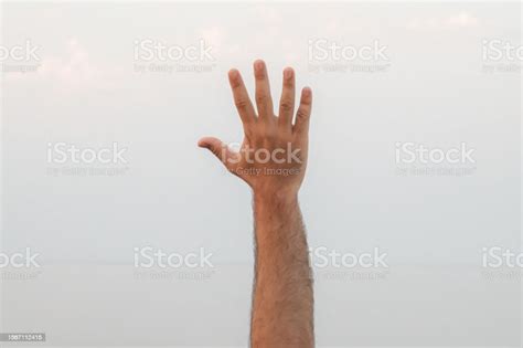 밝은 푸른 여름 하늘 자연 배경에 숫자 5 제스처 기호를 보여주는 손짓 몸짓 번호 5 수화에서 1 위 다섯 번째 다섯 가지