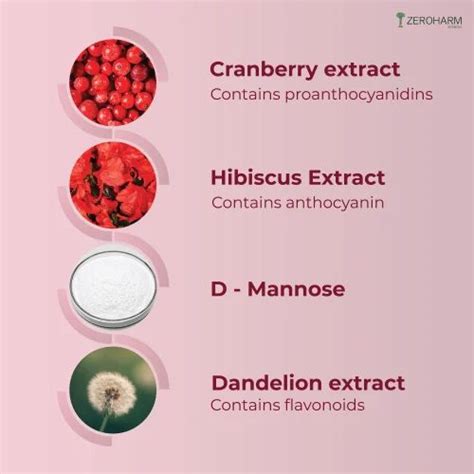 Urinary Tract Infection Tablets 60 Nos At ₹ 799stripe In Hyderabad