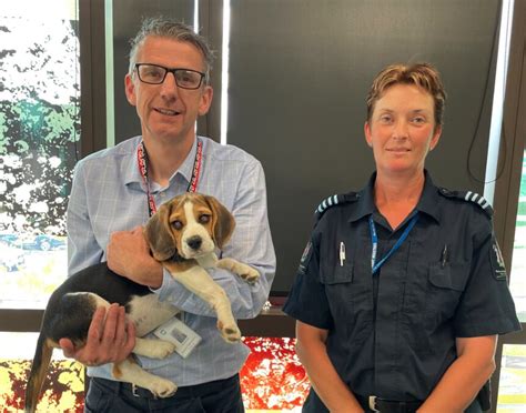 Biosecurity Boosted For Safe NZ Summer Inside Government NZ