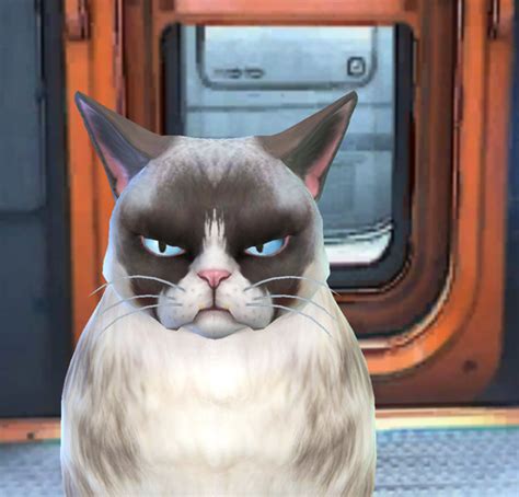 Grumpy Catmeme Cat The Sims 4 Sims Loverslab