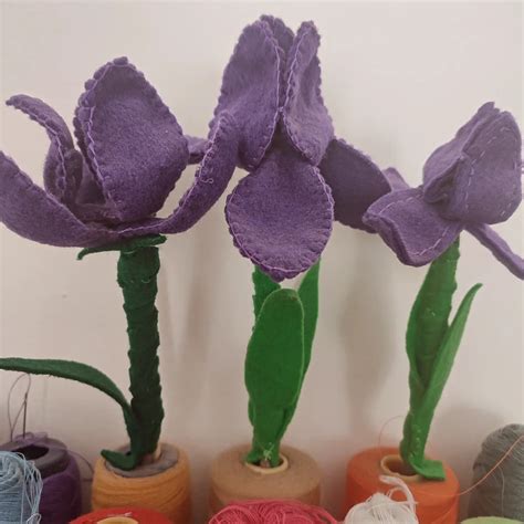 מרגיש לי שהשנה יום העצמאות מקבל עוצמה גדולה יותר אומנם אנחנו עדיין בעיצומה של מלחמה עדיין