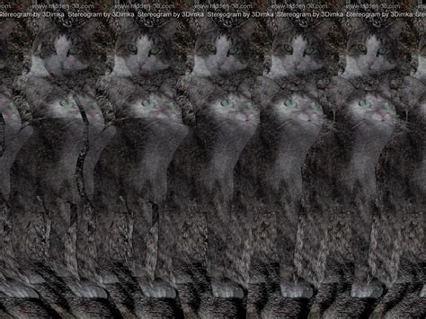 Stereographs D Magic Eye Illusions D Stereogram S D Hidden Pictures Hidden D Images