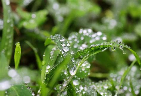 微风细雨配图 秋风细雨的图片 细雨纷纷图片 大山谷图库