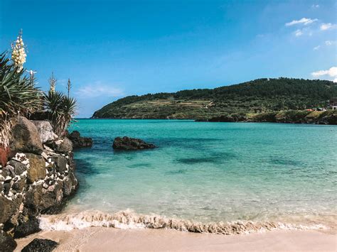 HALLIM PARK IN JEJU ULTIMATE GUIDE