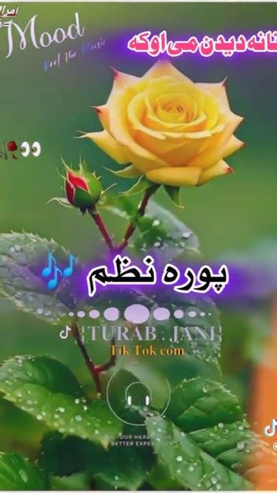 ھئ جانانا آخری دیدن می وکڑہ Youtube