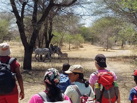 Moshi Campus News 21 Nov 2021 Uwc East Africa