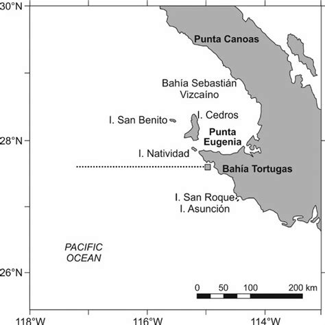 Bahía Sebastián Vizcaíno And Punta Eugenia Baja California Sur