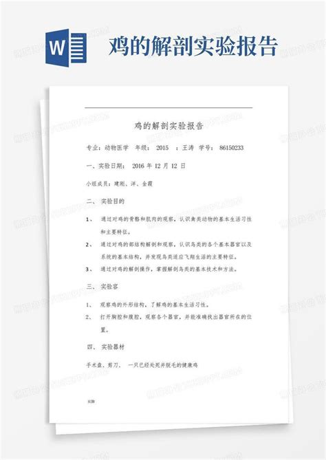 鸡的解剖实验报告Word模板下载 编号qerjxkea 熊猫办公