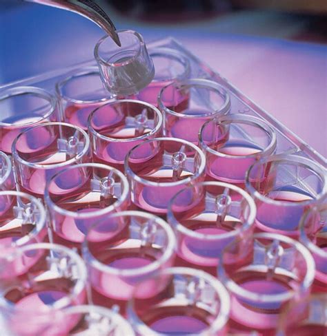 millicell® 细胞培养嵌套板 cell culture inserts