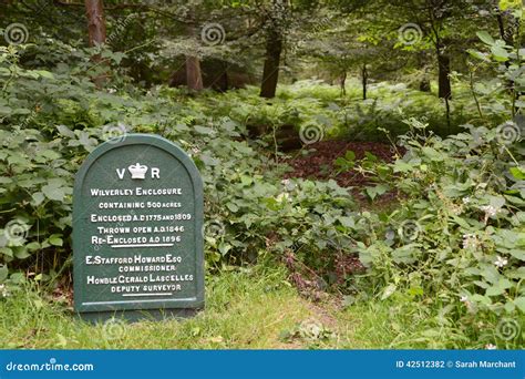 Wilverley Enclosure In The New Forest Hampshire Uk Editorial