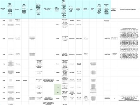 Dna Match Spreadsheet Pertaining To Dna Testing Results One Year On Anne S Family History Db