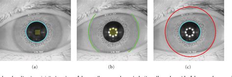 Figure 1 From A Robust Iris Identification System Based On Wavelet Packet Decomposition And