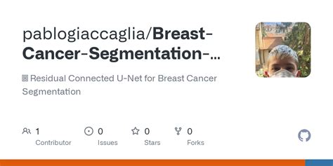 Breast Cancer Segmentation Rwnet Rwnet Ipynb At Master