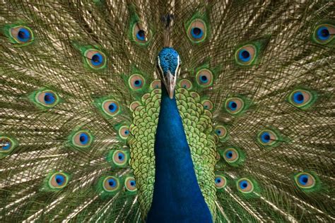 Are You Self Absorbed ⋆ Great Scott Co Blog