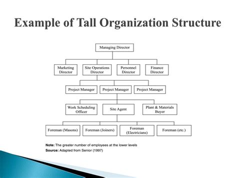 Diagram Of A Tall Organisational Structure Organizational Ch