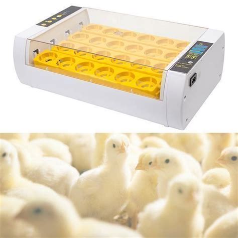 24Eier Brutautomat Brutapparat Inkubator Kaufen Auf Ricardo