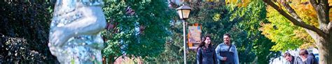Adelphi University Acceptance Rate Employability Rate Courses
