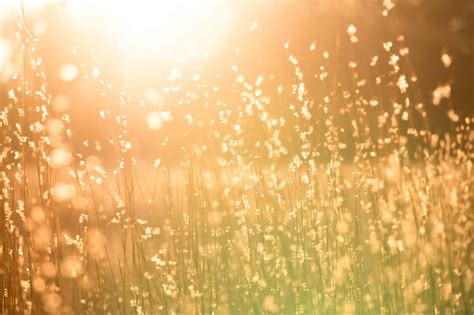 Lessons We Can Learn From Leah In The Bible