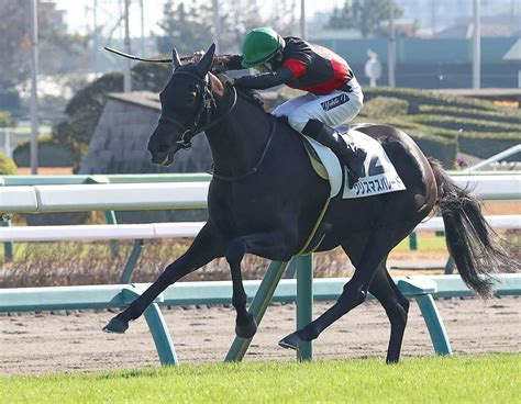 クリスマスパレード4角先頭デビュー勝ち 石川「4角から火がついて振り切ってくれた」／新馬戦 2歳馬特集 競馬写真ニュース 日刊スポーツ