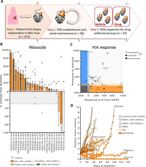 Ribociclib Monotherapy Has Higher Antitumor Activity Than Other Download Scientific Diagram