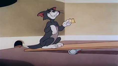 Shutter Bugged Cat 1967 Plex