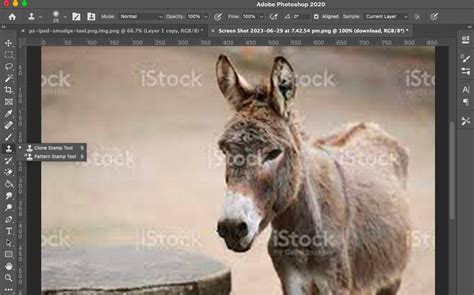 How To Remove A Watermark From A Photo Video PDF Etc