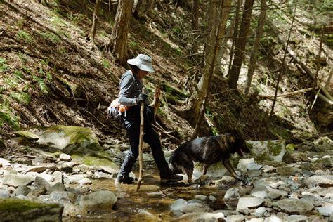 Rcmp To Conduct Search For Remains Of Nova Scotia Man Missing For Over
