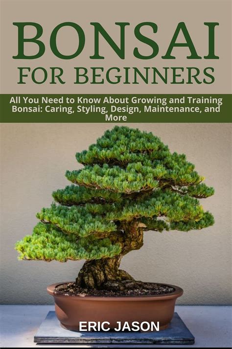 Bonsai For Beginners All You Need To Know About Growing And Training Bonsai Caring Styling