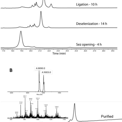 A Stacked Hplc Chromatograms Showing Reaction Progress Of One Pot Download Scientific Diagram