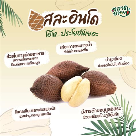 ตลาดอร่อย Product Reviews สละอินโดนำเข้า 1 กิโลกรัม ลูกใหญ่ หวาน หอม