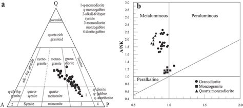 A Tas Compositional Discrimination Diagram Showing The Chemical Download Scientific Diagram