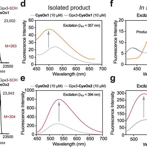 Design Strategy For Developing Fluorogenic Probes For Detecting