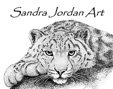 Color Art Sandra Jordan Art